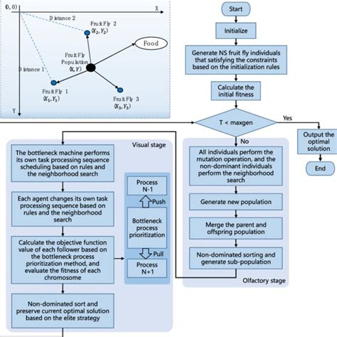 process flow of the hybrid two stage fruit fly optimization algorithm download scientific diagram