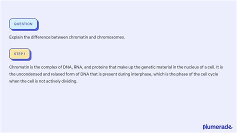 SOLVED Explain The Difference Between Chromatin And Chromosomes