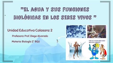El Agua Y Sus Funciones Biologicas En Los Seres Vivos By Milena Loor