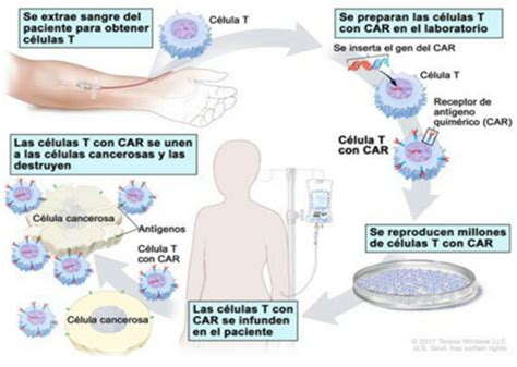 Terapia con Células CAR T Download Scientific Diagram