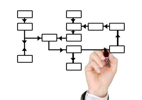 Organograma do escritório contábil o que é e como fazer veja modelo