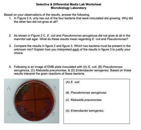 Solved Selective Differential Media Lab Worksheet Chegg
