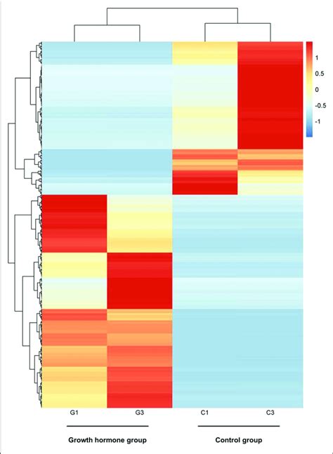 The Heatmap Of Distinct Gene Expression Profiles In Gh Cultured