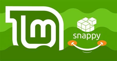 How To Enable Snap On Linux Mint 20 And Install Snap Packages