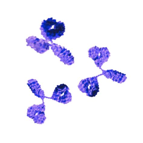 Anticuerpos Monoclonales Abyntek Biopharma