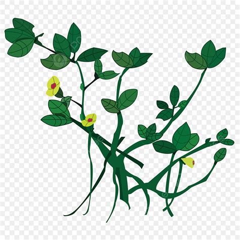 綠色生態植物 小植物 卡通手繪 手繪插畫 綠色生態工廠 小型植物 卡通手繪向量圖案素材免費下載PNGEPS和AI素材下載 Pngtree