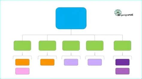 Plantillas De Organigramas En Blanco 2024 100 Personalizables