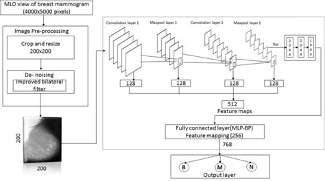 contemplated framework deep neural network and convolutional network download scientific