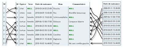 Index Administrez vos bases de données avec MySQL Tutoriels Zeste