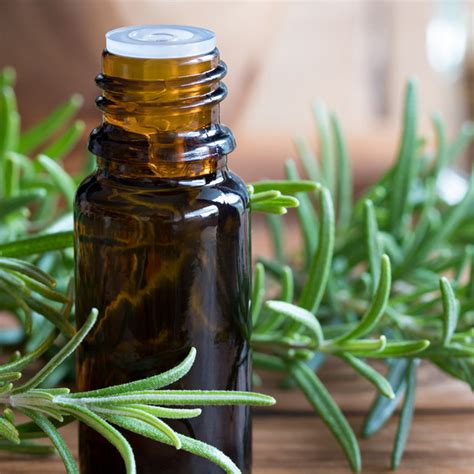 Lista 100 Foto Como Preparar Aceite De Romero Para El Cabello Cena Hermosa