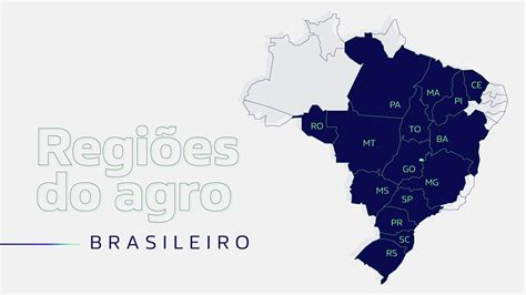 Guia das regiões agrícolas do Brasil e suas atividades Syngenta Digital