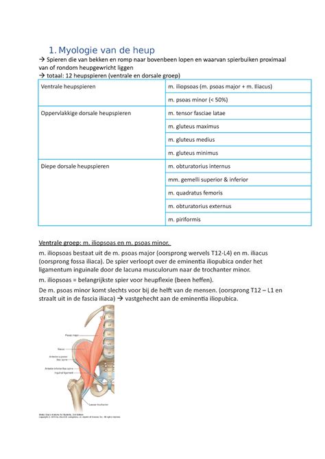 KIN 2 Myologie Van De Heup En Bovenbeen 1 Myologie Van De Heup