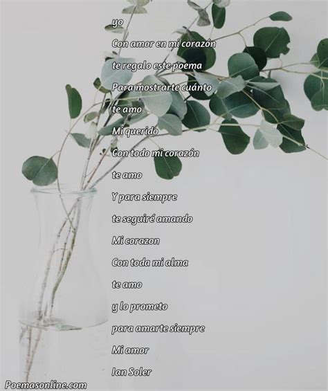 Cinco Mejores Poemas Para Dedicar A Mi Novia Cortos Poemas Online