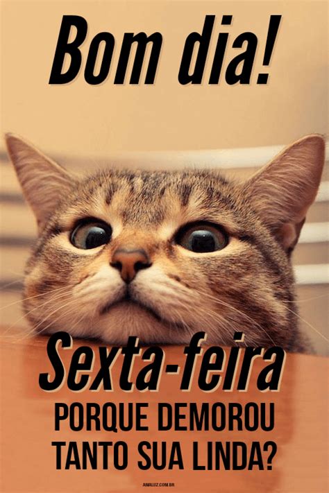 Frases engraçadas de Bom dia Sexta feira Belas Figurinhas