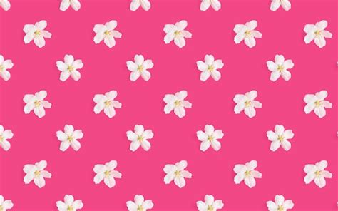 Topo 118 Imagem Fundo Rosa Flores Branca Br Thptnganamst Edu Vn