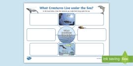Under The Sea Adjectives Mind Map Teacher Made Twinkl