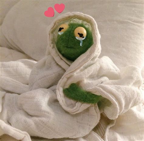 Kermit The Frog Aesthetic Pfp Kermit Dance Gifs Facerisace The Best