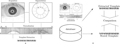 experimental analysis regarding the influence of iris segmentation on the recognition rate