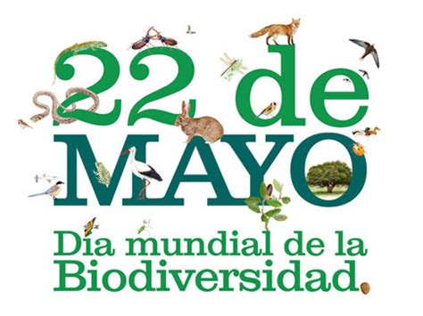 Día Internacional de la Biodiversidad o Diversidad Biológica