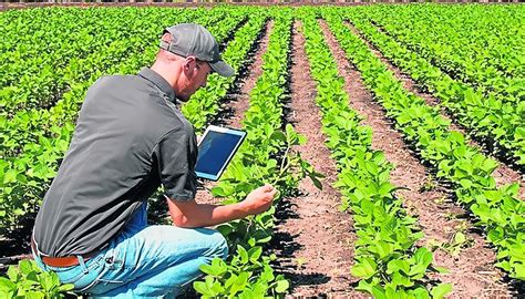 Guía completa de Ingeniería Agrícola Temas de Agronomía