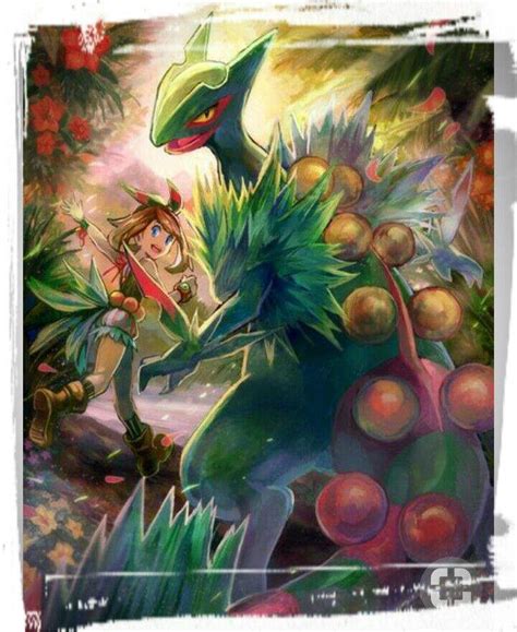 Sceptile Pok Mon En Espa Ol Amino