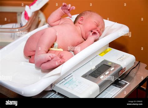 Weighing A Newborn New Born Baby With Weighing Scales Scale Soon