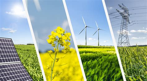 Il Significato Di Sostenibile Rinnovabile Green E Le Differenze