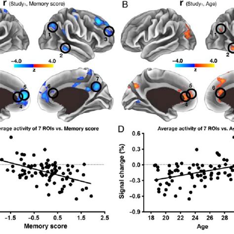 neural activity from a common set of regions correlates with both download scientific diagram