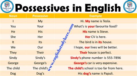 English Possessive Possessive Anglais Succed