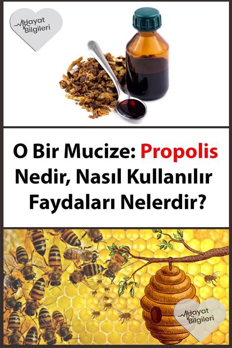 Propolis Nedir Nasıl Kullanılır ve Faydaları Nelerdir Hayat