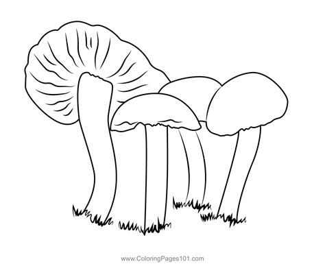 Kingdom Fungi Coloring Worksheet