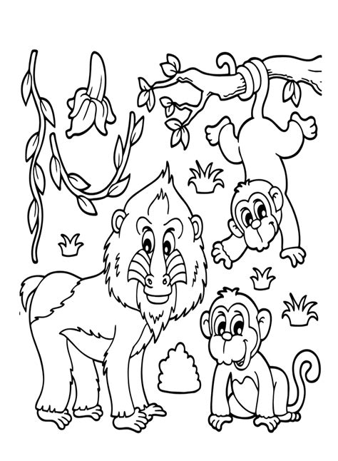 Mandrill And Baby Monkeys Coloring Page Free Printable Coloring Pages