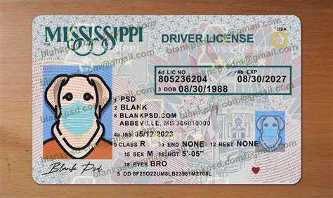 Mississippi Drivers License Template New V2 Blank PSD