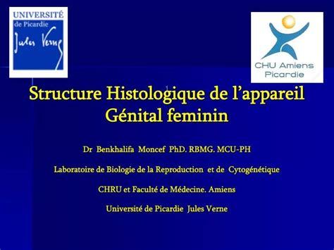 PPT Appareil Reproducteur féminin PowerPoint Presentation free