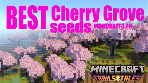 Best CHERRY GROVE SEEDS Minecraft 1 20 Bedrock Java Cherry
