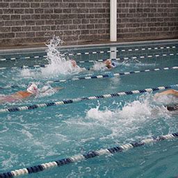 Las 7 Mejores Escuelas de Natación en Tlaquepaque 2024