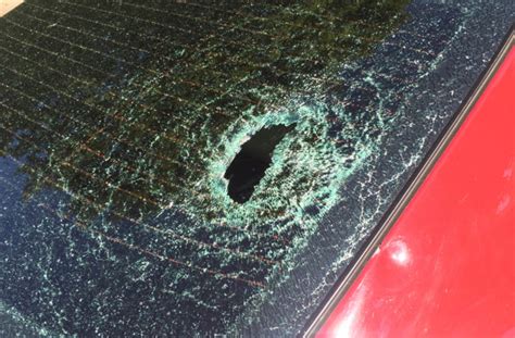 Back Glass Replacement MAXX Glass
