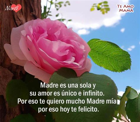 Poema Para Mi Mejor Amiga El Amor Incondicional De Mi Madre