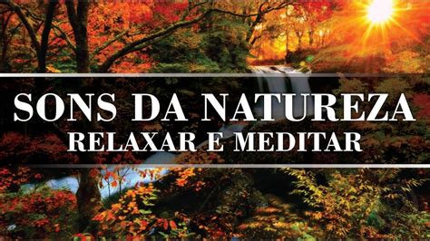 Música Sons da Natureza para Meditar e Relaxar Sons de Pássaros