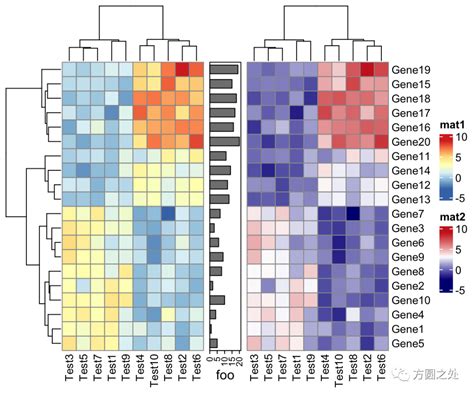 从pheatmap无缝迁移至ComplexHeatmap Public Library of Bioinformatics