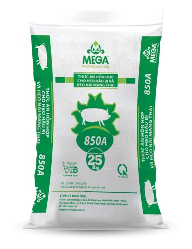 THỨC ĂN HỖN HỢP CHO HEO HẬU BỊ VÀ NÁI MANG THAI