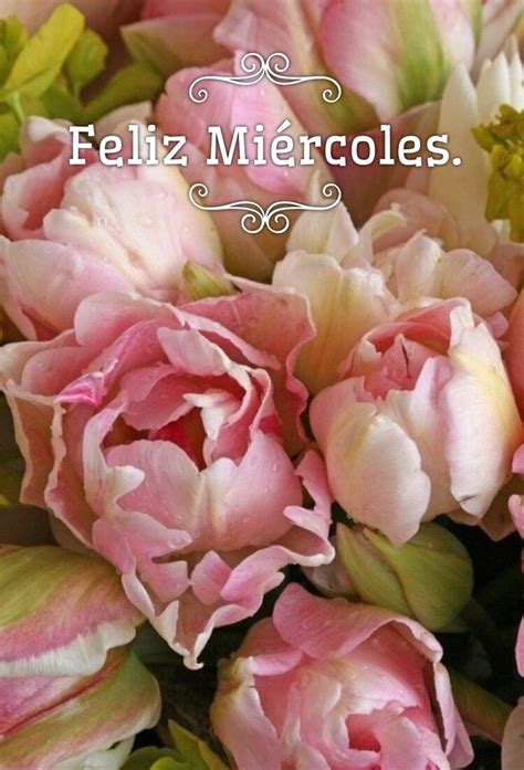 Pin De Kesia Almonte Vargas En Buen D A Saludos D Buenos Dias