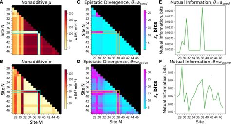 discovering pathways through ribozyme fitness landscapes using information theoretic