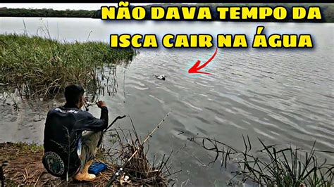 VOCE NUNCA VIU TANTO PEIXE ASSIM EM UMA PESCARIA NO PRIMEIRO VIDEO DO