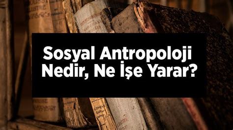 Sosyal Antropoloji Nedir Ne İşe Yarar Sosyal Antropoloji Neyi İnceler