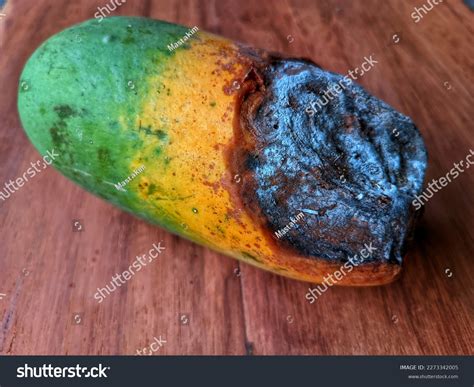 Rotten Papaya Fruit Fungal Infection Caused Stock Photo 2273342005