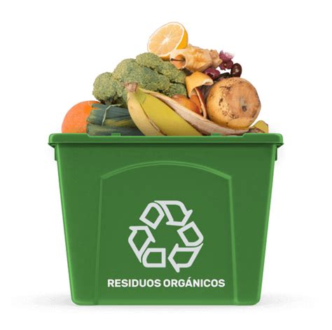 Ecotips Fundacion Que Transforma