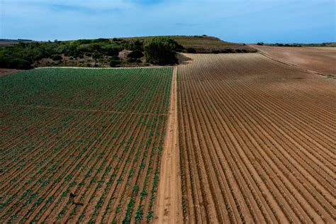 Agricultura Regenerativa Qu Es Principios Ejemplos Y Ventajas Resumen