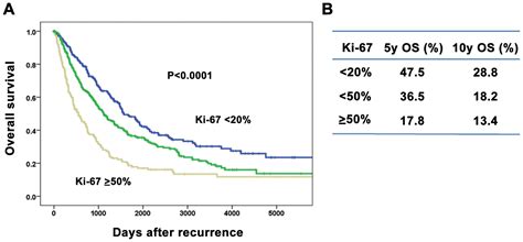 Prognostic Significance Of Ki Index Value At The Primary Breast