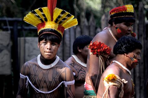 No M S Do Ndio Toca Da Raposa Traz Ndios Do Xingu Revista Raiz